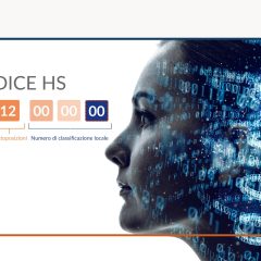 Calcolo dazi doganali: l’unico calcolatore online per oneri e HS code - DVA Express