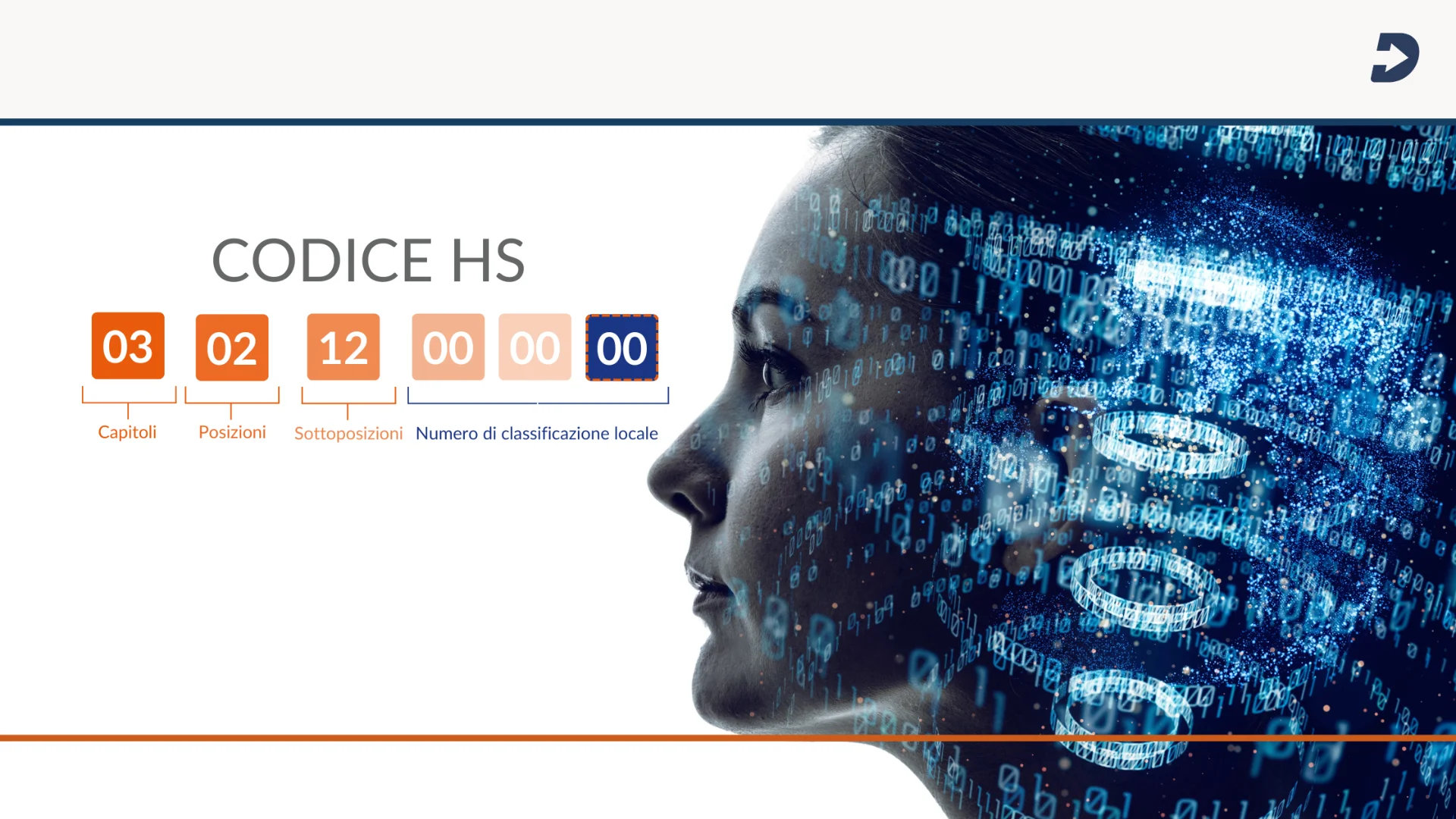 Codice HS e Spedizioni Internazionali - DVA Express