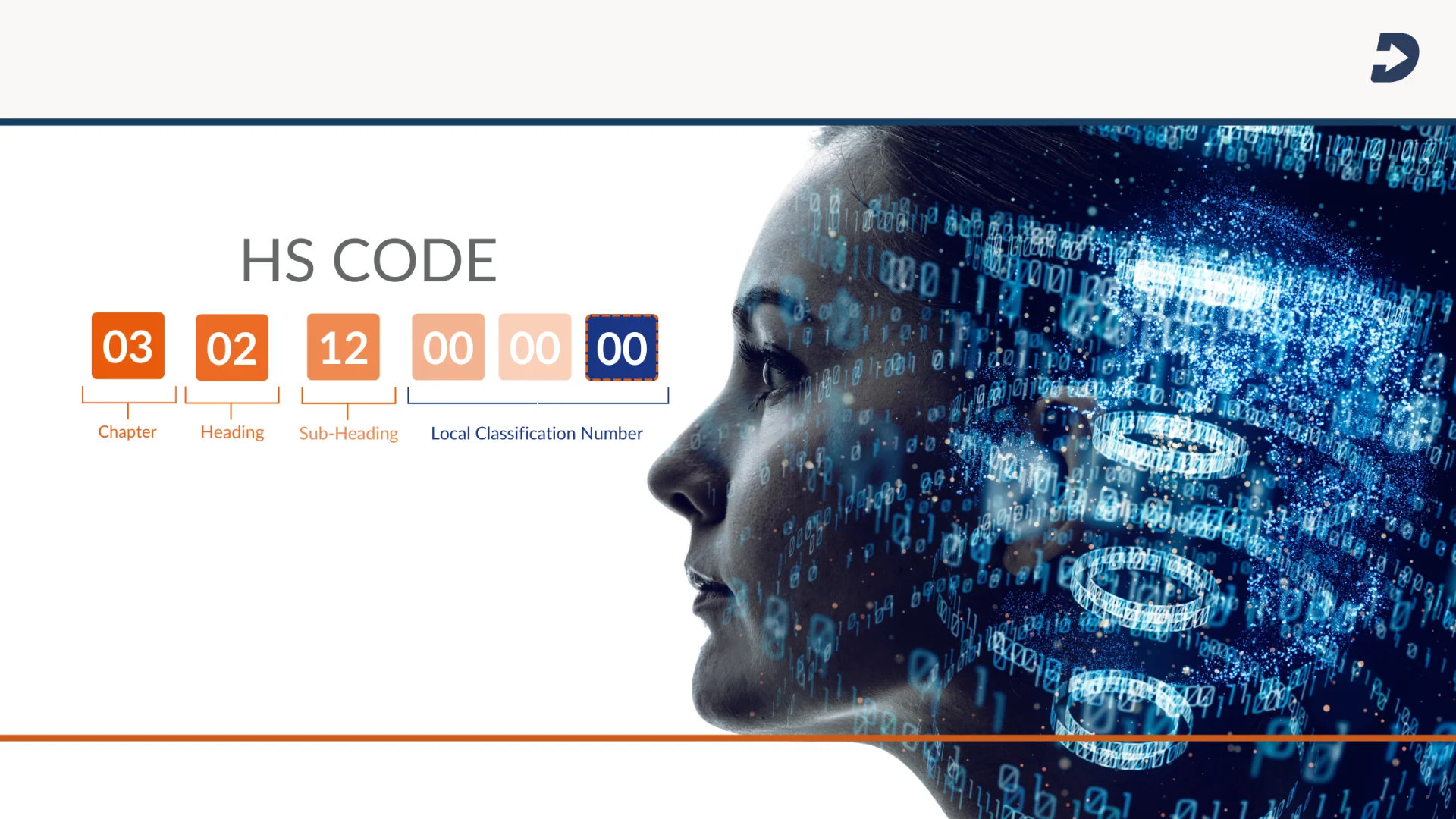 HS Code and International Shipments - DVA Express